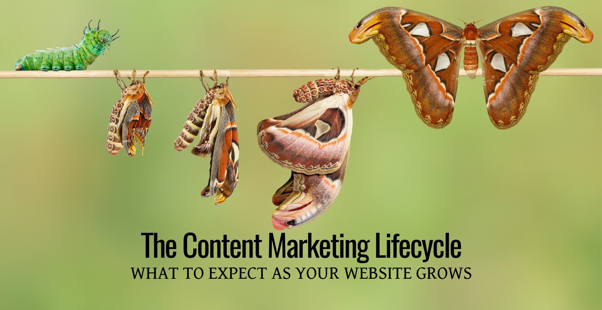 The 3 Stages of the Content Marketing Lifecycle: What to Expect as Your ...