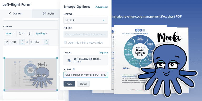 5 Alt Text Examples & Best Practices for Content Marketing